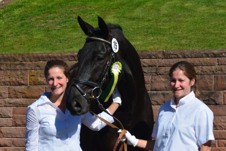 aeltere_3_Isidor_Tarison – Gestüt Hörstein