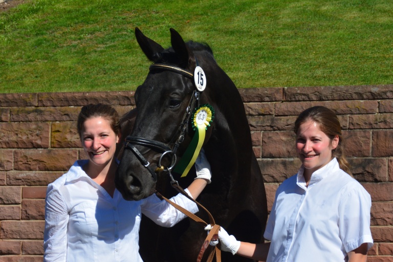 aeltere_3_Isidor_Tarison – Gestüt Hörstein